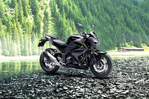 Kawasaki Z250sl Modified Cmw | Custom Paint Job🎨🖌for Kawasaki